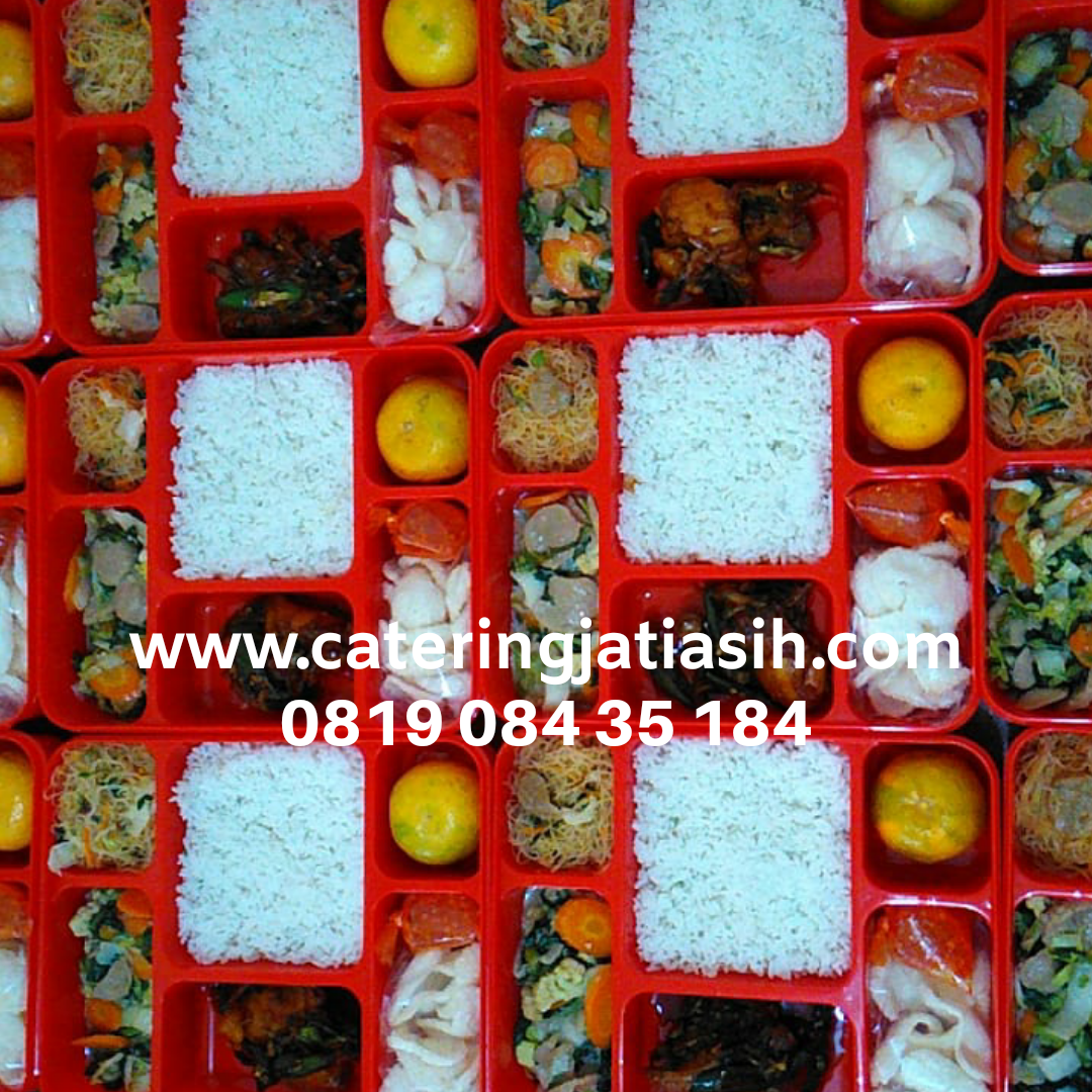 Catering Bekasi Layanan Profesional Catering Prasmanan Nasi Box